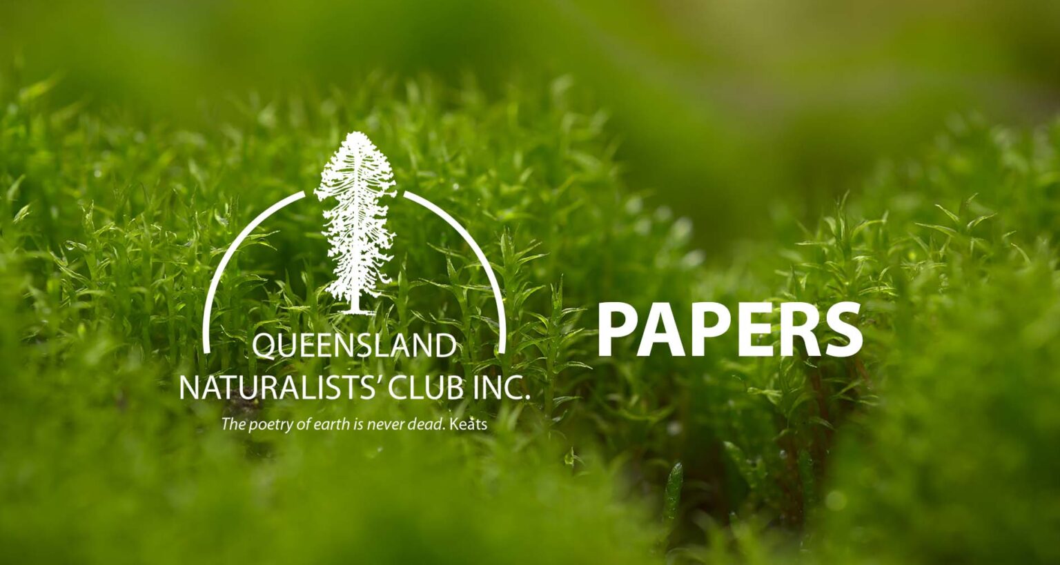 The curious relationship between the cadaghi tree and native stingless ...