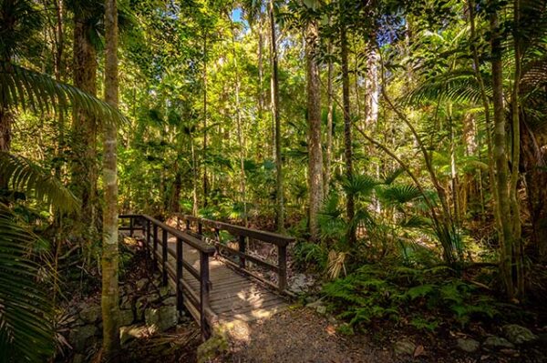 The Queensland Naturalists' Club Inc. – Preservation and protection of ...