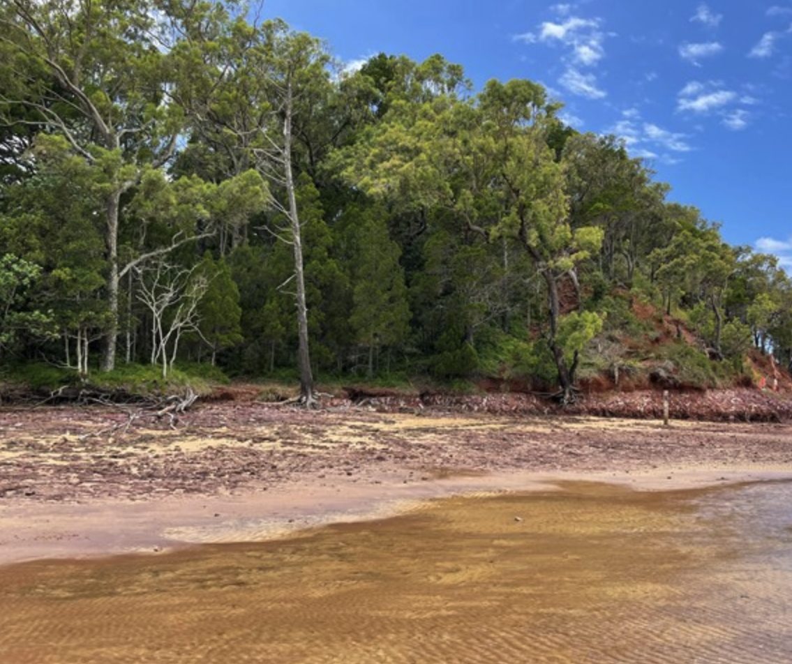 Articles – The Queensland Naturalists' Club Inc.